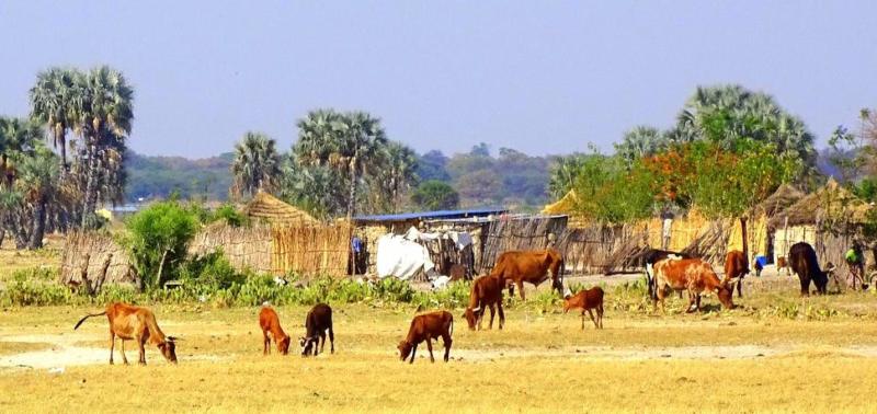 Caprivi Streifen: Tipps & Infos für Namibias "Okavango Delta"