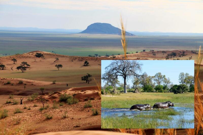 Der Caprivi Streifen - Namibias "Okavango Delta"